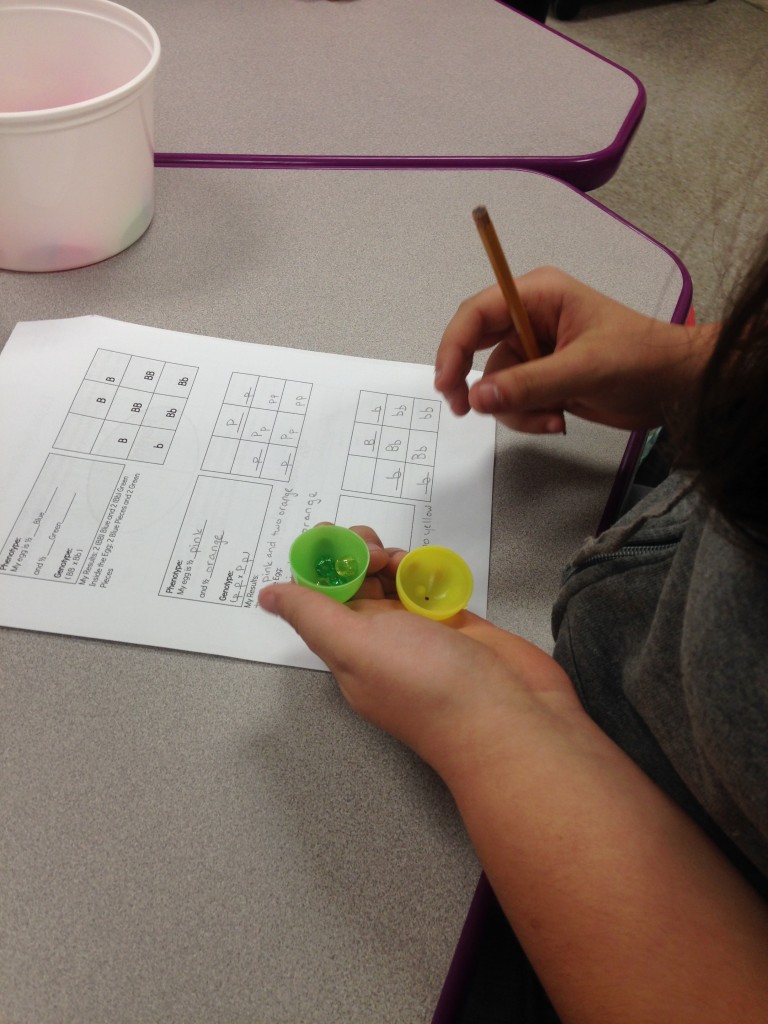 STEM Lesson – Easter Egg Genetics | Tech For Teachers